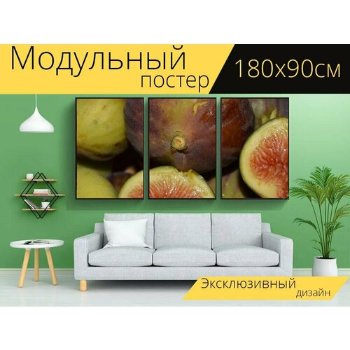Модульный постер "Инжир, свежий, фрукты" 180 x 90 см. для интерьера