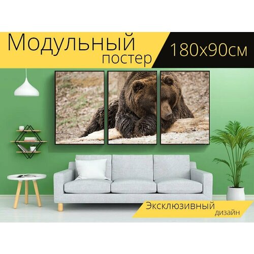 Модульный постер "Нести, бурый медведь, дикая природа" 180 x 90 см. для интерьера