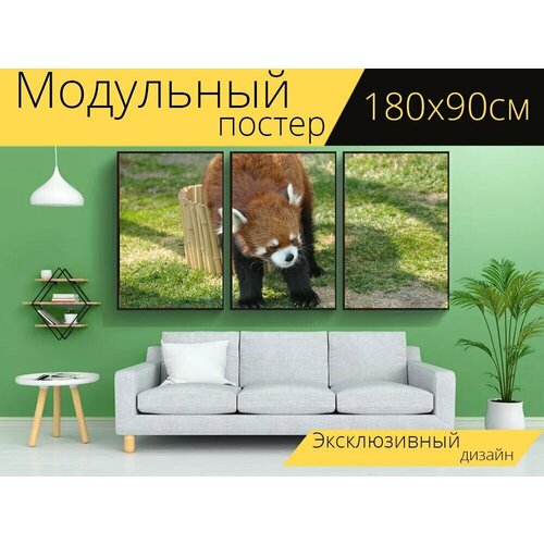 Модульный постер "Красная панда, зоопарк, симпатичные животные" 180 x 90 см. для интерьера