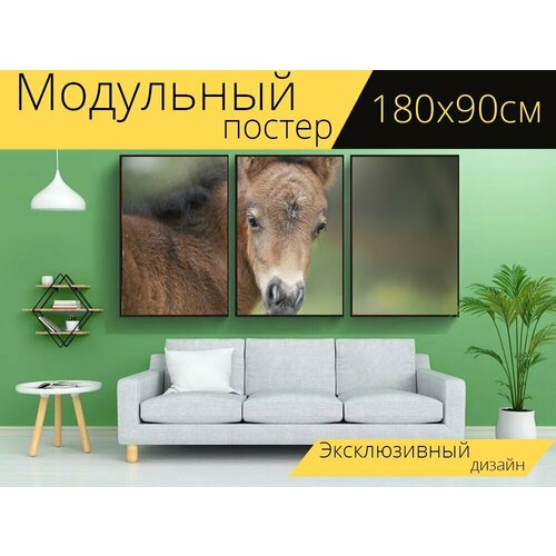 Модульный постер "Жеребенок, лошадь, животное" 180 x 90 см. для интерьера