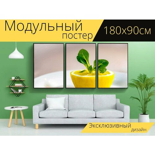 Модульный постер "Лимон, лайм, цитрусовые" 180 x 90 см. для интерьера