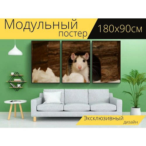 Модульный постер "Крысы, цветные крысы, милый" 180 x 90 см. для интерьера