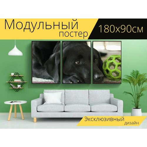 Модульный постер "Собака, лабрадор ретривер, черная лаборатория" 180 x 90 см. для интерьера