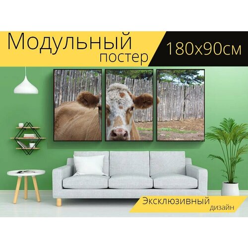 Модульный постер "Корова, крупный рогатый скот, ферма" 180 x 90 см. для интерьера