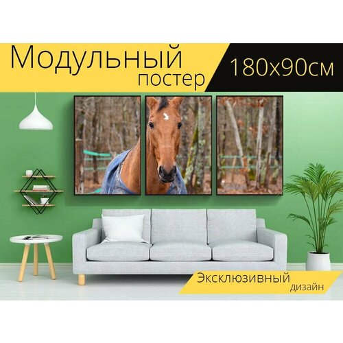 Модульный постер "Лошадь, деревья, портрет" 180 x 90 см. для интерьера