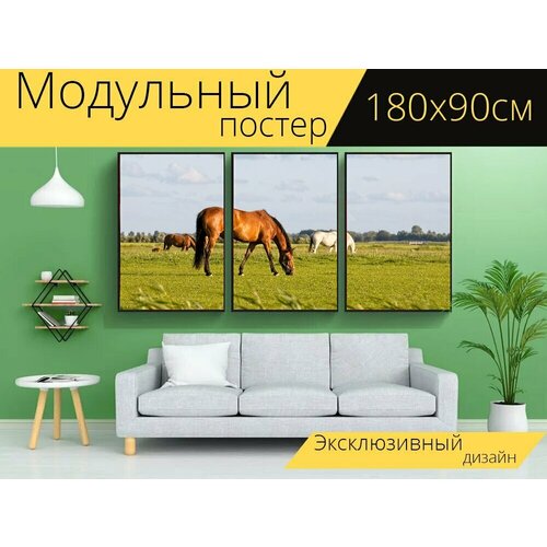 Модульный постер "Лошади, пастбища, выпас" 180 x 90 см. для интерьера