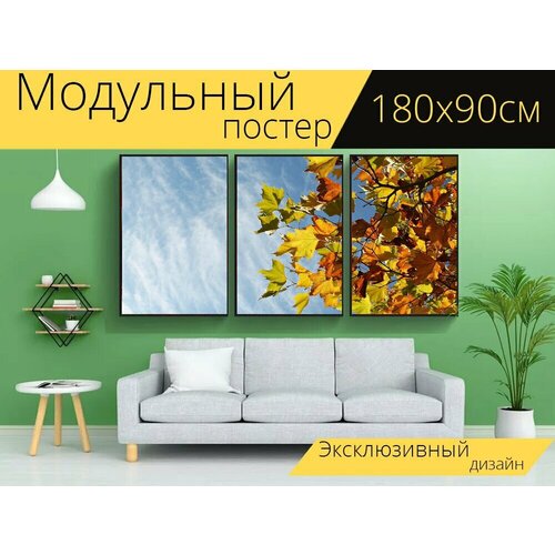 Модульный постер "Клен, листья, осень" 180 x 90 см. для интерьера