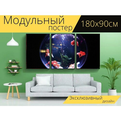 Модульный постер "Аквариум, рыбы, стекло" 180 x 90 см. для интерьера