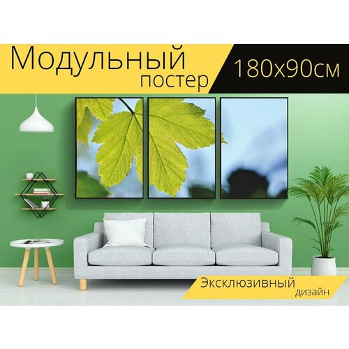 Модульный постер "Кленовый лист, клен, кленовое дерево" 180 x 90 см. для интерьера