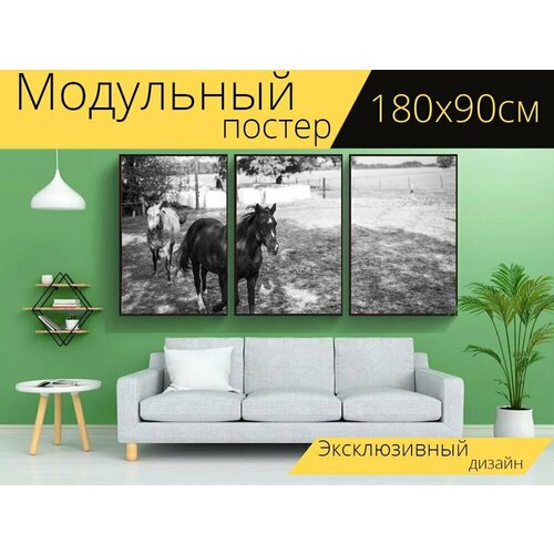 Модульный постер "Чернобелый, ферма, лошадь" 180 x 90 см. для интерьера