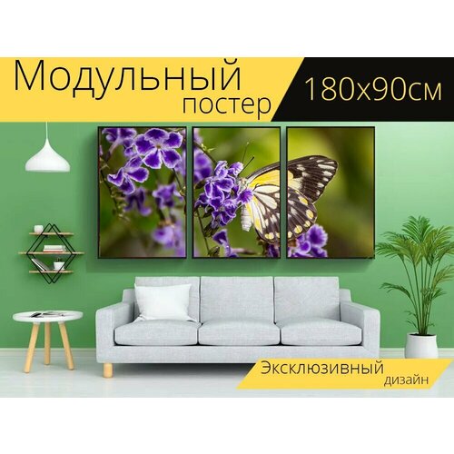 Модульный постер "Бабочка, насекомое, чернить" 180 x 90 см. для интерьера