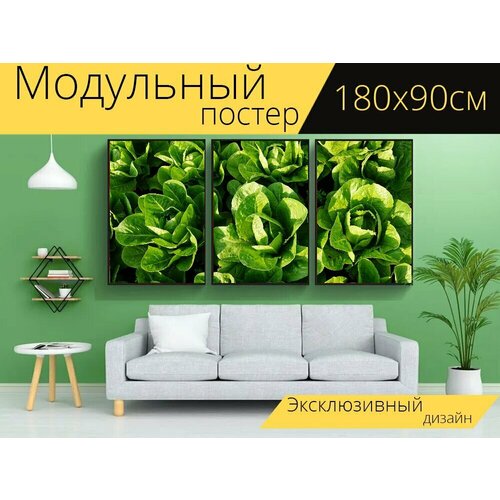 Модульный постер "Салат, зеленый, еда" 180 x 90 см. для интерьера