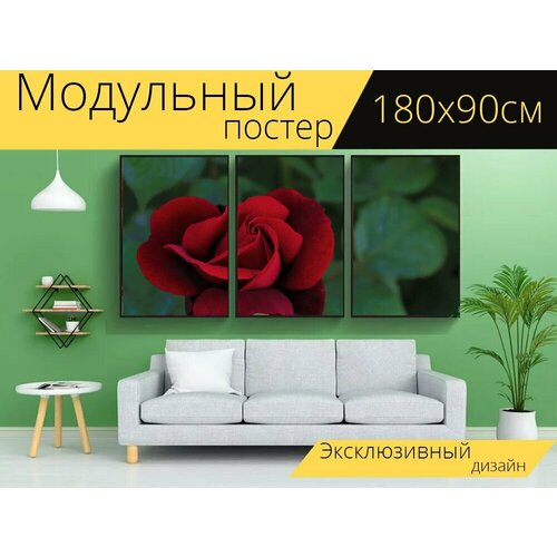 Модульный постер "Rose, роуз, весна" 180 x 90 см. для интерьера