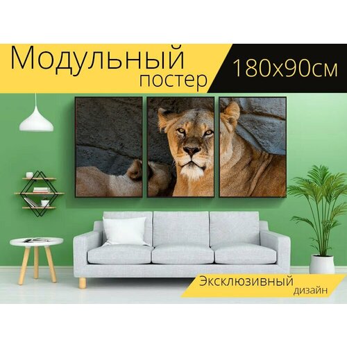 Модульный постер "Лев, львица, женский" 180 x 90 см. для интерьера