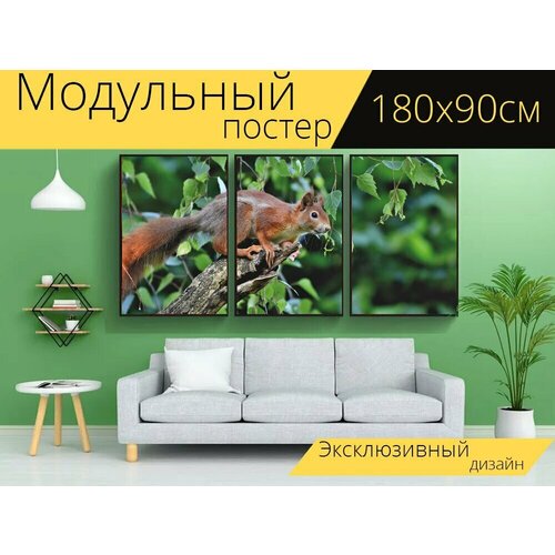 Модульный постер "Белка, грызун, дикая природа" 180 x 90 см. для интерьера