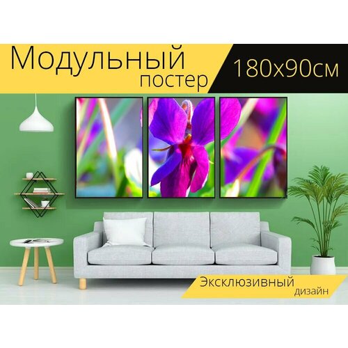 Модульный постер "Фиалки в вечернем свете, фиолетовый, предвестником весны" 180 x 90 см. для интерьера