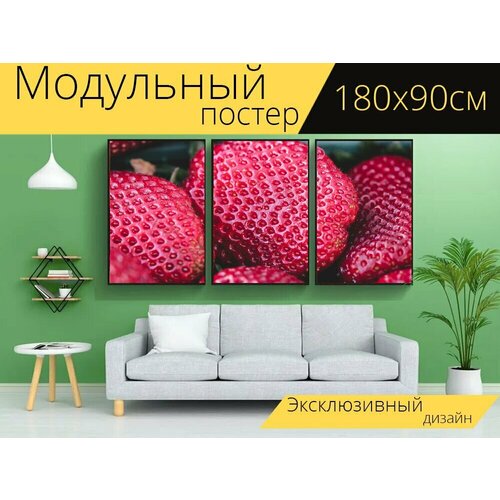 Модульный постер "Красный, фрукты, семена" 180 x 90 см. для интерьера