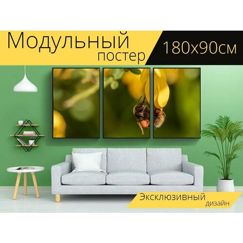 Модульный постер "Шмель, садовый шмель, bombus hortorum" 180 x 90 см. для интерьера