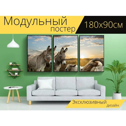 Модульный постер "Пейзаж, животные, ослы" 180 x 90 см. для интерьера