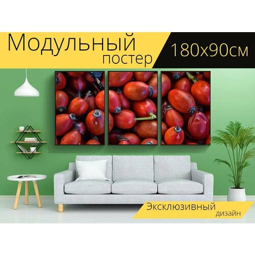Модульный постер "Розовые плоды, шиповник, кустарник" 180 x 90 см. для интерьера
