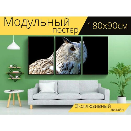 Модульный постер "Сипуха, сова, хищник" 180 x 90 см. для интерьера