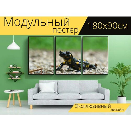 Модульный постер "Саламандра, рептилия, крениться" 180 x 90 см. для интерьера