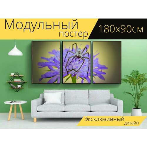 Модульный постер "Darownik чудный, девушки, паук" 180 x 90 см. для интерьера