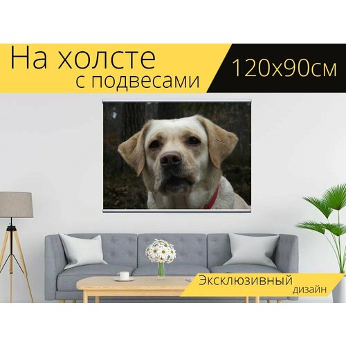 Картина на холсте "Лабрадор, собака, печенье" с подвесами 120х90 см. для интерьера