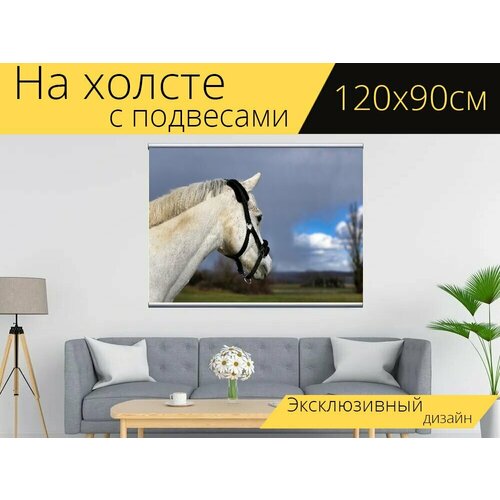 Картина на холсте "Лошадь, араб, породистый" с подвесами 120х90 см. для интерьера