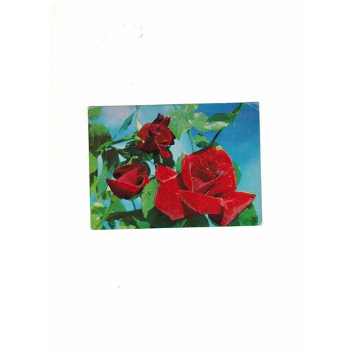 Почтовая открытка СССР "Красные розы" Германа 1971 год