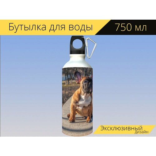 Бутылка фляга для воды "Французский бульдог, щенок, домашний питомец" 750 мл. с карабином и принтом