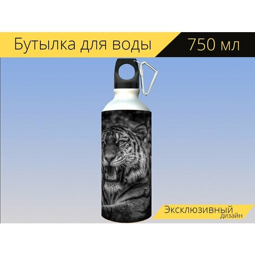 Бутылка фляга для воды "Тигр, чернобелый, большой кот" 750 мл. с карабином и принтом