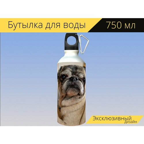 Бутылка фляга для воды "Собака, мопс, животное" 750 мл. с карабином и принтом