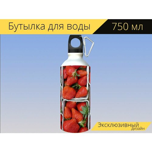 Бутылка фляга для воды "Клубника, фрукты, красный" 750 мл. с карабином и принтом