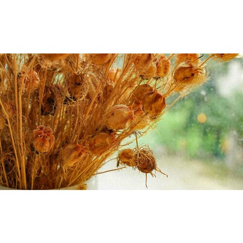 Картина на холсте 60x110 LinxOne "Букет, растения, сухой" интерьерная для дома / на стену / на кухню / с подрамником