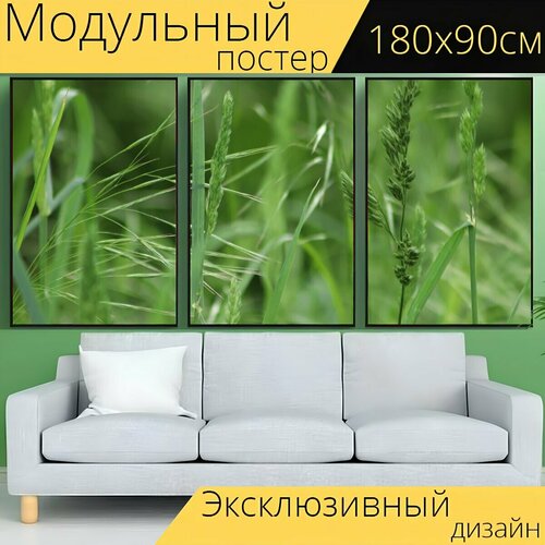 Модульный постер "Трава, острие травы, травы" 180 x 90 см. для интерьера