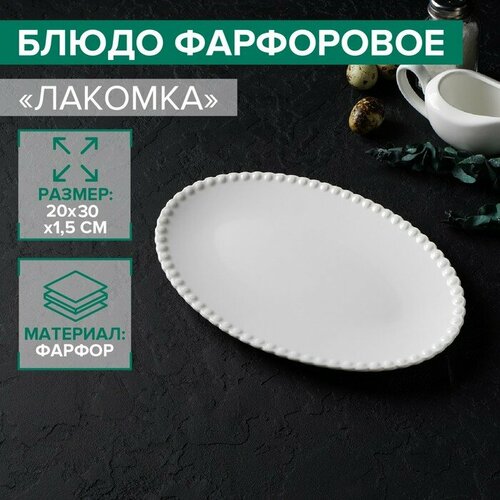 Блюдо фарфоровое овальное Magistro "Лакомка", 30х20 см