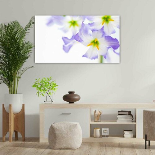 Картина на холсте 60x110 LinxOne "Цветок макро цветы нежность" интерьерная для дома / на стену / на кухню / с подрамником