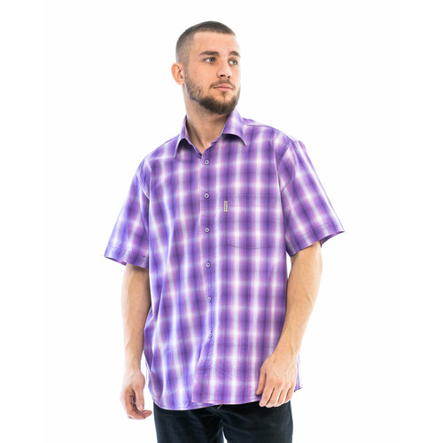 Рубашка Maestro, размер 50-52/L/43 ворот, фиолетовый