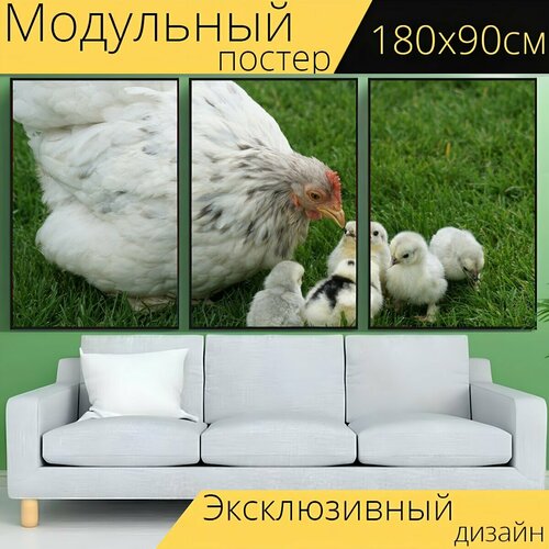Модульный постер "Кохин, карлик кулинария, цыпленок" 180 x 90 см. для интерьера