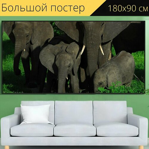 Большой постер "Слон, слоны, семья" 180 x 90 см. для интерьера