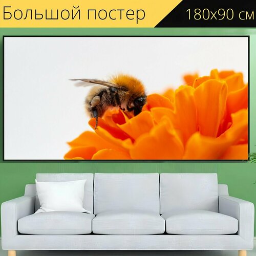 Большой постер "Дикая пчела, дикие пчелы, природа" 180 x 90 см. для интерьера