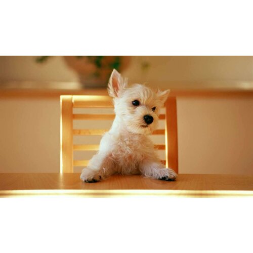 Картина на холсте 60x110 LinxOne "Стул стол щенок" интерьерная для дома / на стену / на кухню / с подрамником
