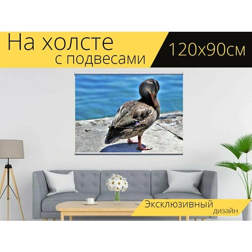 Картина на холсте "Утка, вода, птица" с подвесами 120х90 см. для интерьера