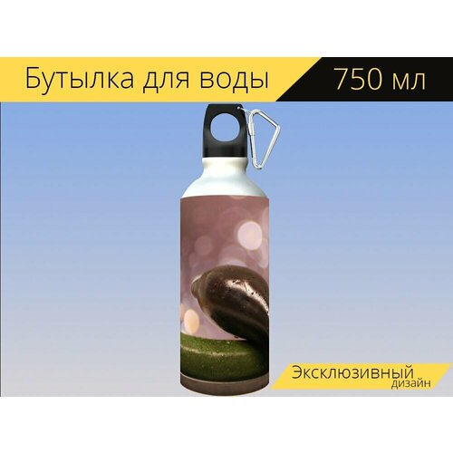 Бутылка фляга для воды "Икра из баклажанов, фрукты, овощи" 750 мл. с карабином и принтом