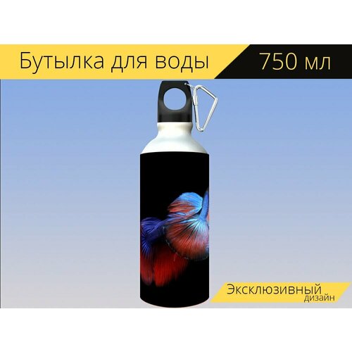 Бутылка фляга для воды "Природа, сиамский, аквариум" 750 мл. с карабином и принтом