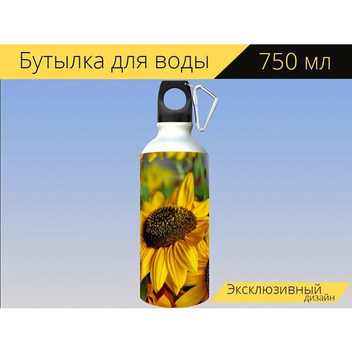 Бутылка фляга для воды "Подсолнечник, цветок подсолнечника, декоративный подсолнух" 750 мл. с карабином и принтом