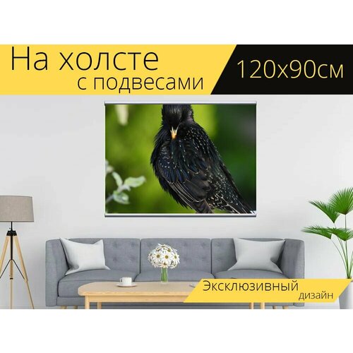 Картина на холсте "Скворец, птица, природа" с подвесами 120х90 см. для интерьера