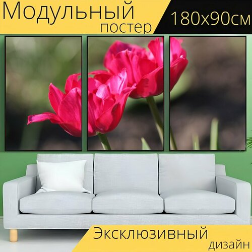 Модульный постер "Тюльпаны, красный, цветок" 180 x 90 см. для интерьера