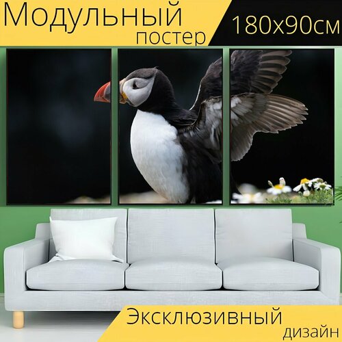 Модульный постер "Тупик, крылья, птица" 180 x 90 см. для интерьера